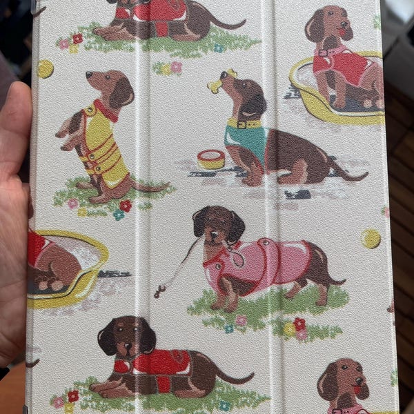 Pop Mart Labubu Cover Case for Kindle Paperwhite 12/11/10th,kindle 2024 ...