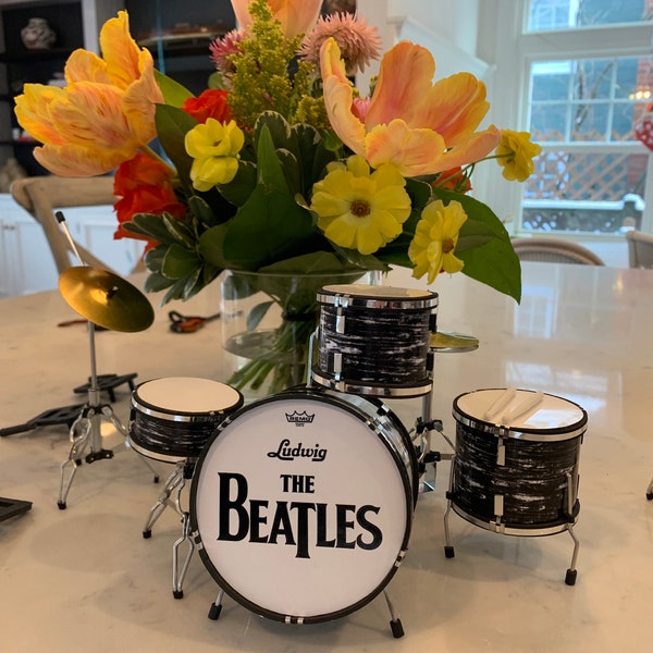 Miniature Beatles Instrument Set Accurate Reproduction of Guitars With ...