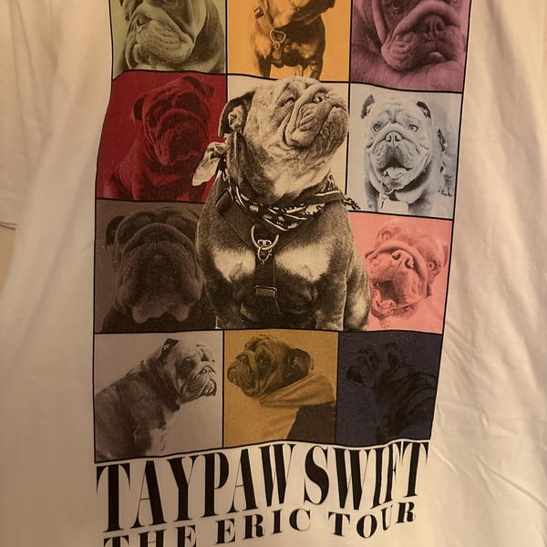 F1 Drivers TTPD Eras Tour Poster (A3 or A4) - Etsy