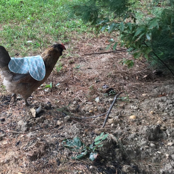 Extra Small Size Hen Saddle, Reversible Small Breeds of Poultry ...