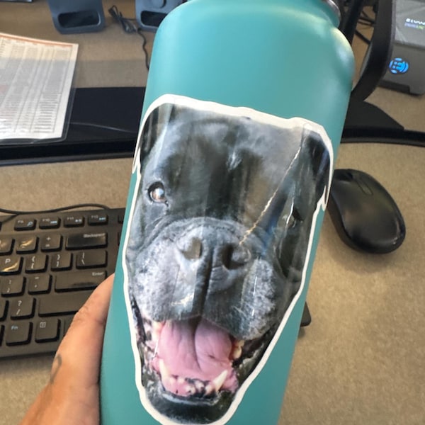 Custom Cartoon Sticker From Photo, Personalized Sticker Gift, Cartoon ...