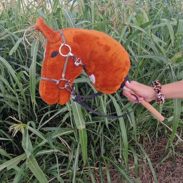 Hobby Horse Box, DIY Hobby Horse Kit, Make Your Own Hobby Horse, Horse ...