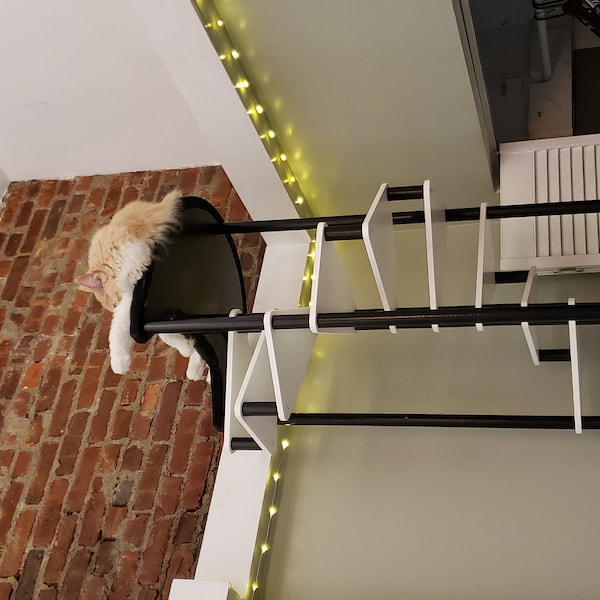 Cat Tree, 9 Step Spiral Cat Ladder, Cat Stairs With Cat Perch on Top ...