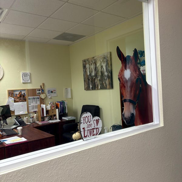 Custom Window Static Cling Decals – Removable & Reusable Storefront ...