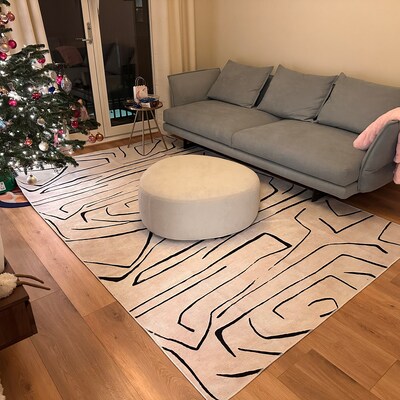 Contemporary Beige and Black Living Room Rug, Dining Table Stain ...