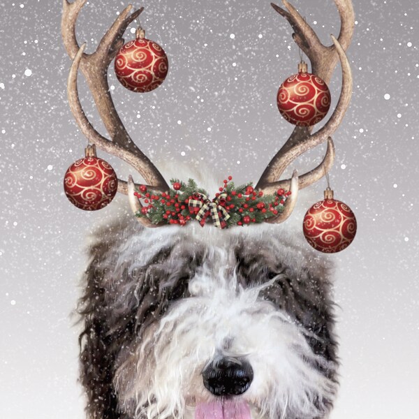My Pet Reindeer, Pet Portrait From Photo, Digital Christmas Portrait ...