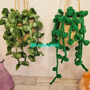 Crochet Car Plant Pothos PATTERN ONLY Pamelambie Tiktok - Etsy