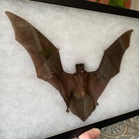 Tropical Vaporwave Frutiger Aero Y2k MOUSE PAD for Computer - Y2K ...