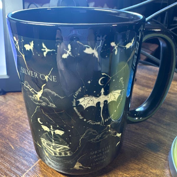 Fourth Wing Mug Bookish Dragon Mug Romantasy Mug for Xaden Riorson Fans ...