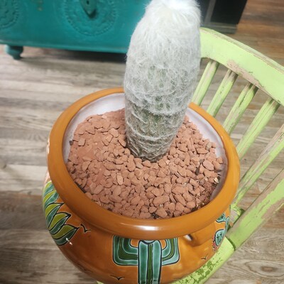 Crystal Moon Tree of Life Window Suncatcher, Home Decor, Gift for Her ...