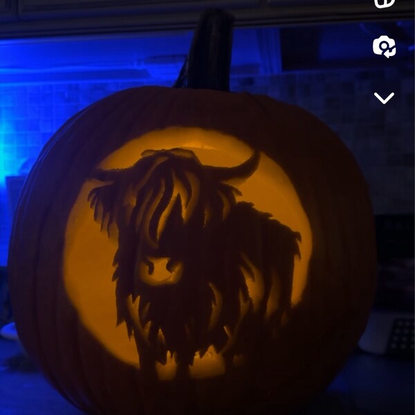 Highland Cow Pumpkin Stencil, Printable Pumpkin Stencil, Jack O ...