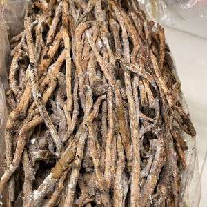 Nauclea Latifolia / African Peach Roots Bark - 1000g/1kg - Etsy