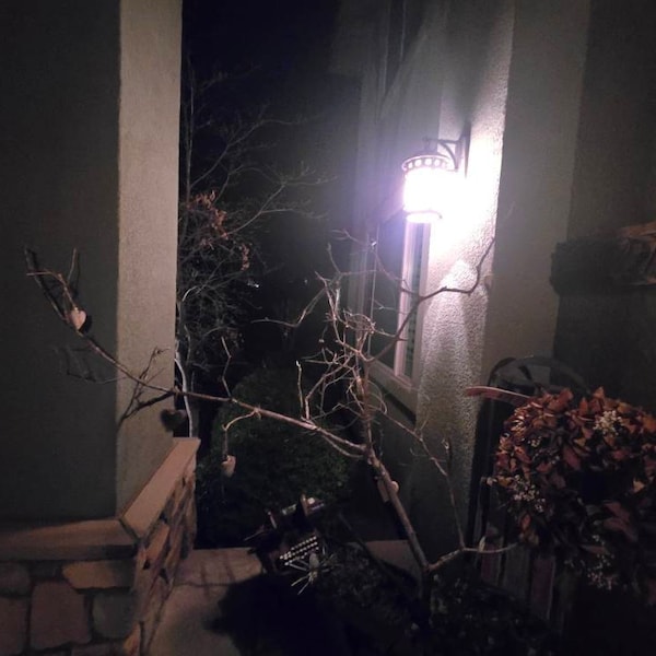 Wood Pedestal Risers, Small Plant Risers, Walnut Stained Risers , Black ...