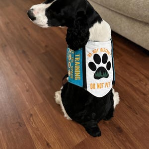 Vest adjustable Size, in Training Do Not Approach, Light Weight Sd ...