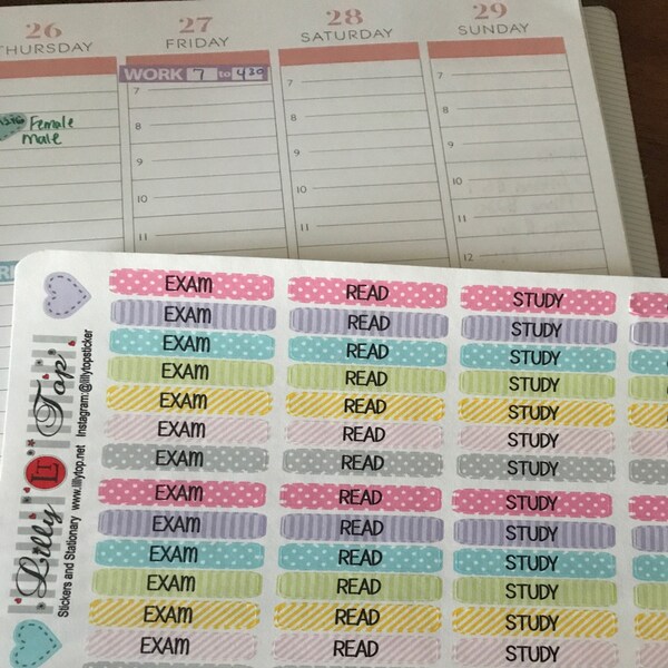 Quiz, Read, Study, Exam,school, College, Planner Stickers, Fits All ...