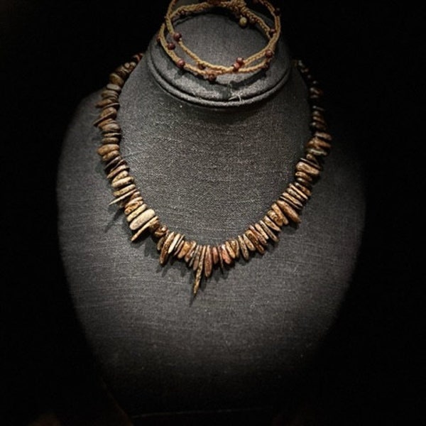 15.5" Bronzite Tooth Chips 12~20mm, High Quality Brown Color Gemstone ...