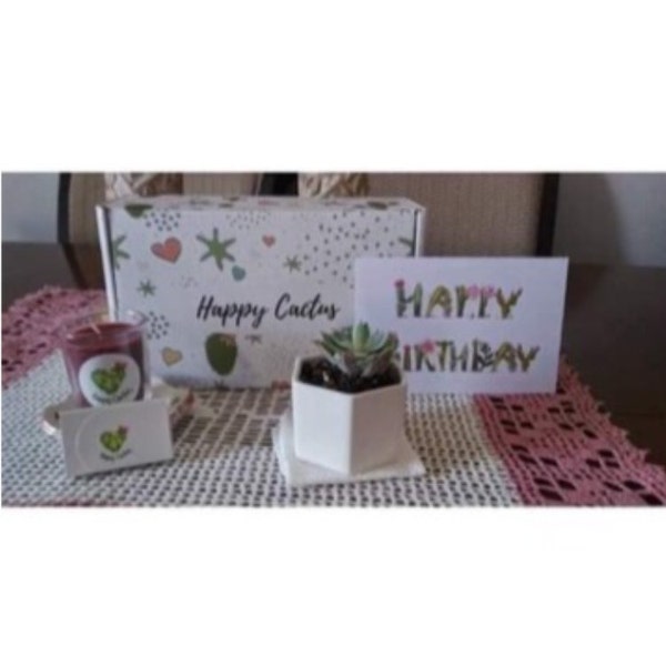 Happy Bday Cacti Gift Box - Live Succulent - Personalized Birthday Card ...