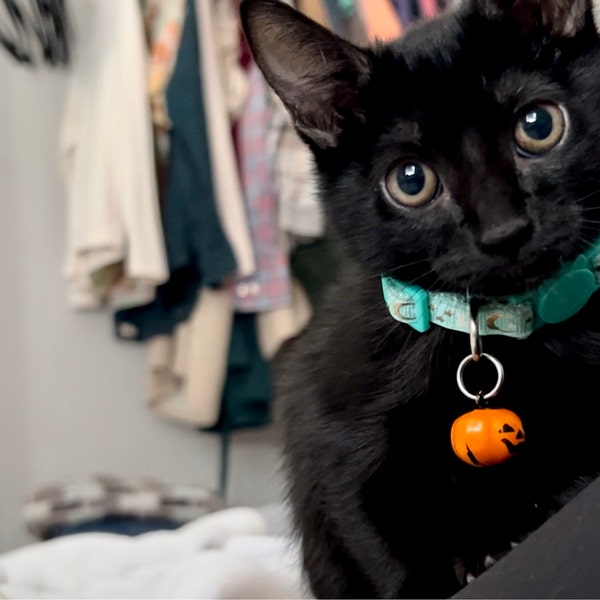 Cat Bells Special Character Jingle Bells Cat Collar Bells Extra Loud ...