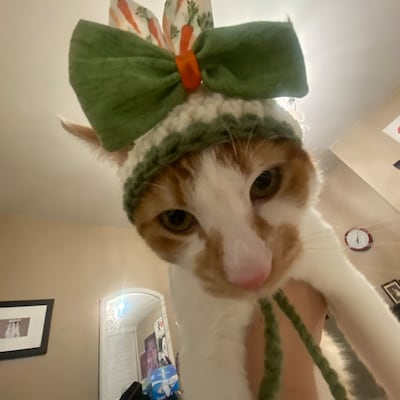 Julius Caesar Pet Costume, Hats for Cats, Cat Hat Pattern, Pet Hat ...