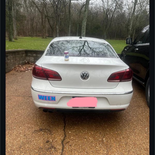 FINGERBANGIN' Dean Ween Group Sticker Sheet! 5x7, 4 Stickers! DWG Ween ...