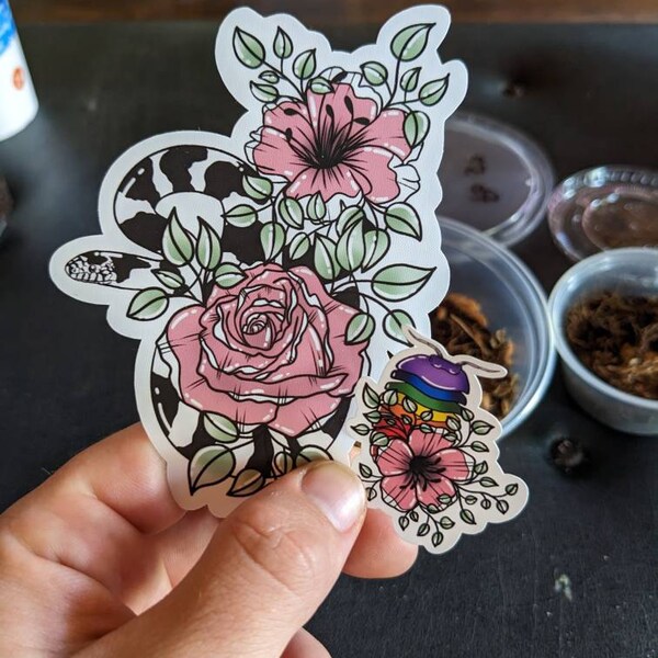 Crested Gecko Enclosure Sticker - Etsy