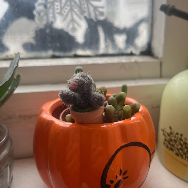 Mini Mole Collectible Gift, Needle Felted Handmade Decoration, Ornament ...