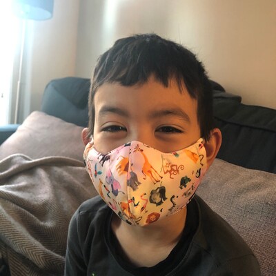 5-pack Safari Animals Face Masks / Kids Fabric Face Mask / Wild ...