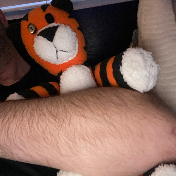 Stuffed Hobbes Plush Tiger 14" Character Collectable - Etsy