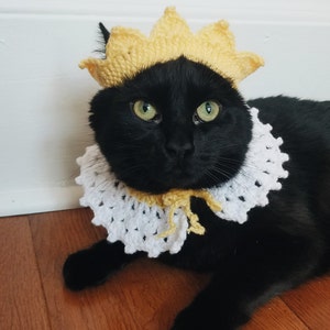 Wizard Pet Costume Wizard Costume for Cat Halloween Cat Hat | Etsy