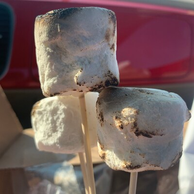 Faux Marshmallows, Fake Roasted Marshmallows on a Stick, Fake ...
