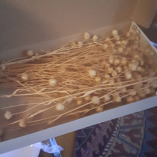 Organic Flax Spray - Etsy