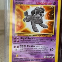 Your Pet as a Pokemon Card - Etsy