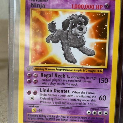 Your Pet as a Pokemon Card - Etsy
