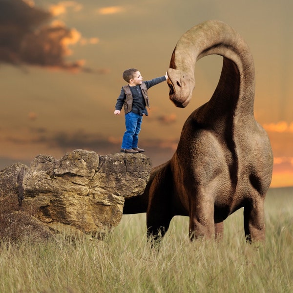 Dinosaur Scene Premade Backdrop Dinosaur Backdrop Dinosaur Background ...