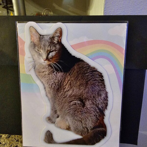 Cat Antidepressant Sticker for Journal, Cute Cat Stickers for Water ...