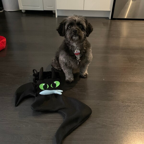 Toothless Inspired Christmas Stocking - Etsy