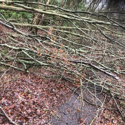 Regency Dress Bridgerton Wedding Dress Royalcore Costume Empire ...