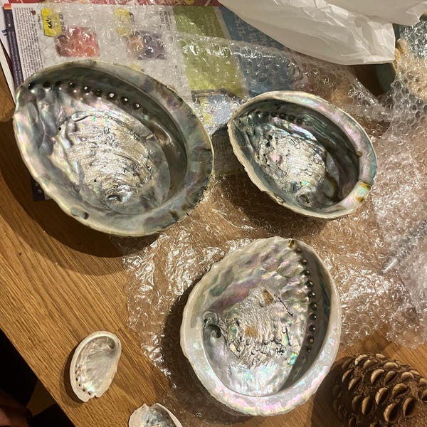 Chameleon, Metal Chameleon, Chameleon Metal, Iguanas, Metal Iguanas ...