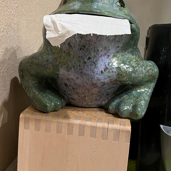 CUSTOM Painted Ceramic Arnel Toad Toilet Paper Holder LARGE - Etsy