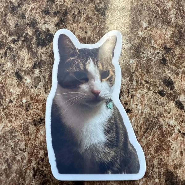 10/25/50 Cute Postage Stamp Stickers, Fake Stamps, Animals Flowers Food ...
