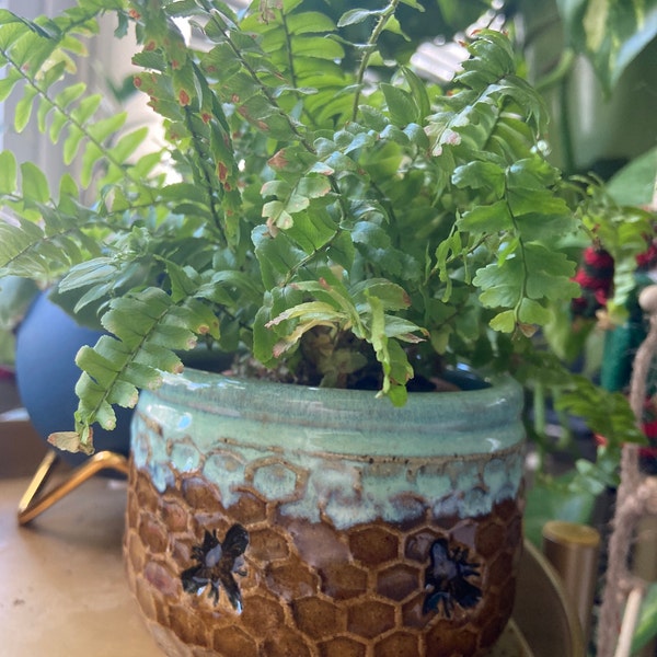Honeycomb Bee Succulent Planter: Handmade Pottery, Mustard & Seafoam - Etsy