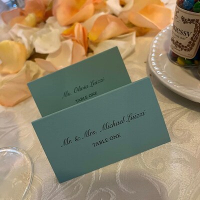 Printed Place Cards With Custom Fonts and Colors Customized - Etsy