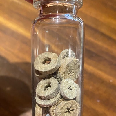 Charming omar Stones Greywacke With Pits. Lake Superior Omarolluk - Etsy