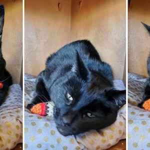 Catnip Doobie, Cat Doobie, Joint, Blunt, Spliff, PATTERN for Catnip ...