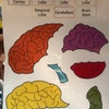 Human Brain Anatomy Printable Activity, Brain Puzzle, Brain Parts ...