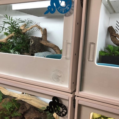 Customizable Name Ball Python Snake Vinyl Decal READ - Etsy