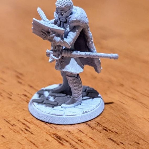 Custom 3D Printed RPG Miniatures: High-detail Personalized Figurines ...