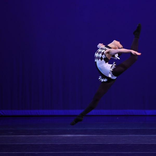 Dance Aerial Circus PIERROT-QUIN Costume Harlequin Pattern Halter ...