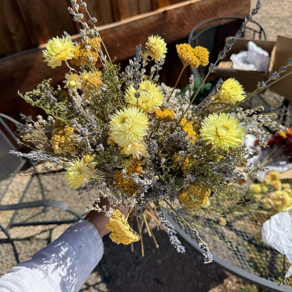 Strawflower, Dried Flowers, White, Cream, Pink, Red, Yellow, Purple ...