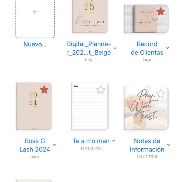 Remarkable Paper Pro Yearly Planner for 2025 / Digital Planner for ...